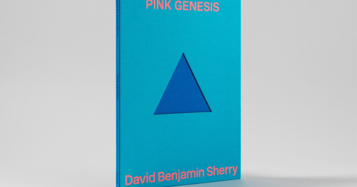 Pink Genesis, David Benjamin Sherry, 2022 | A2/SW/HK